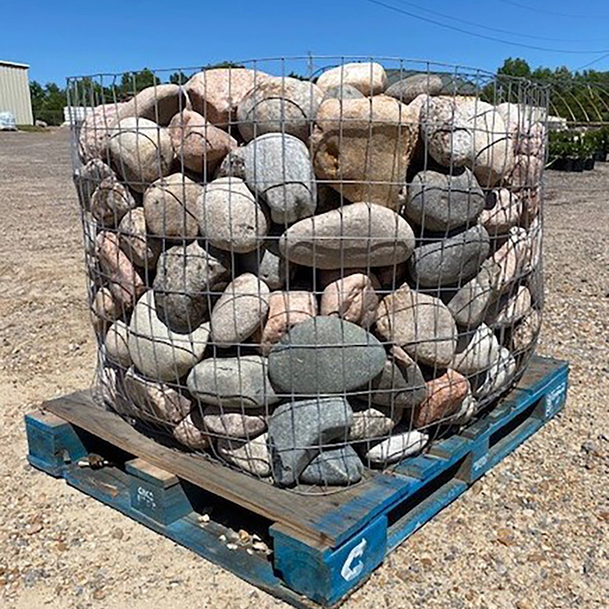 Palletized Rainbow Cobbles 2 - 4 in. | SiteOne
