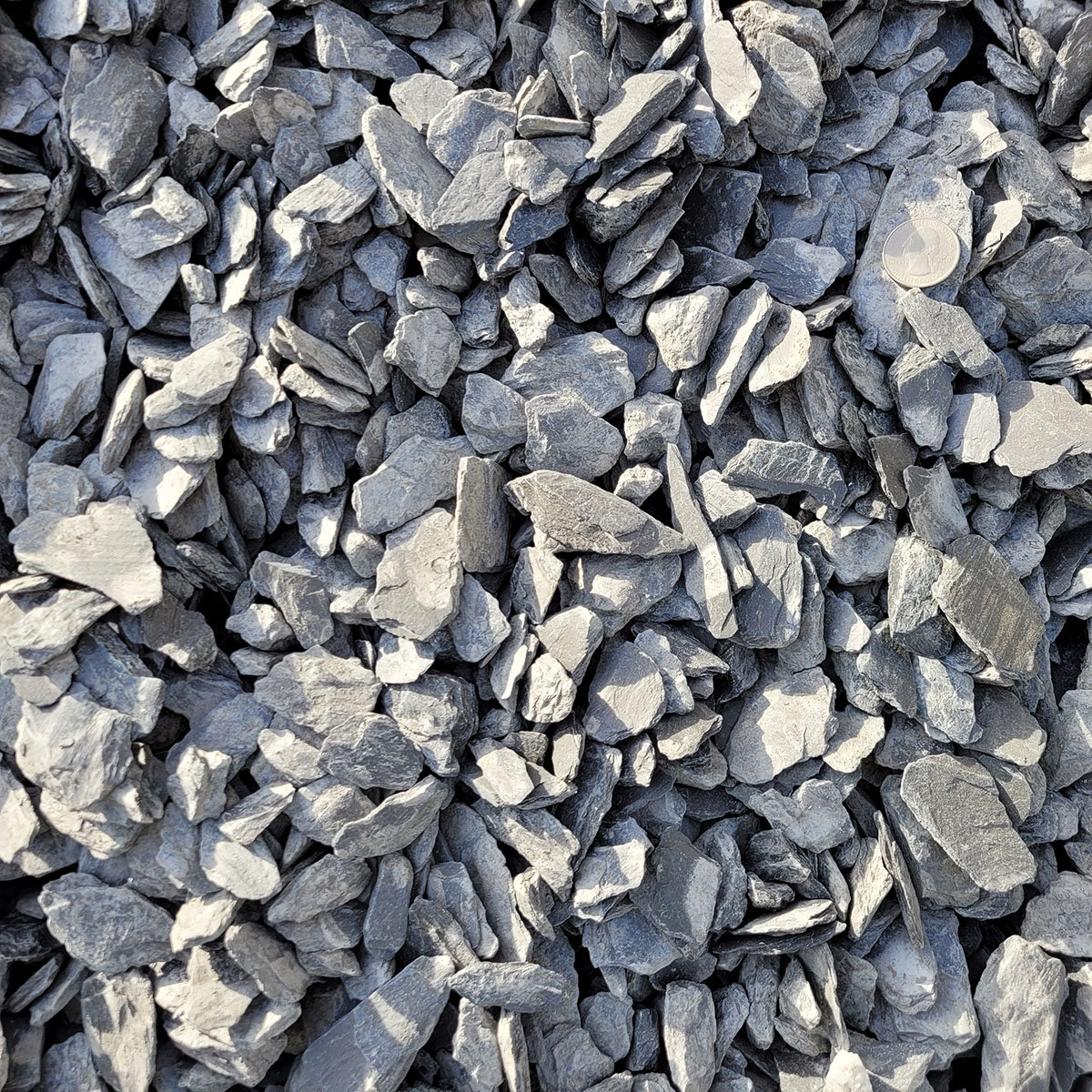 Bulk Slate Chips Medium | SiteOne