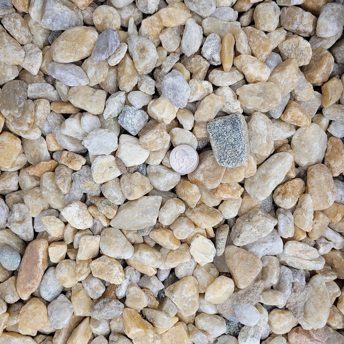 Palletized River Rock Broad River 1/2 - 1 in. | SiteOne