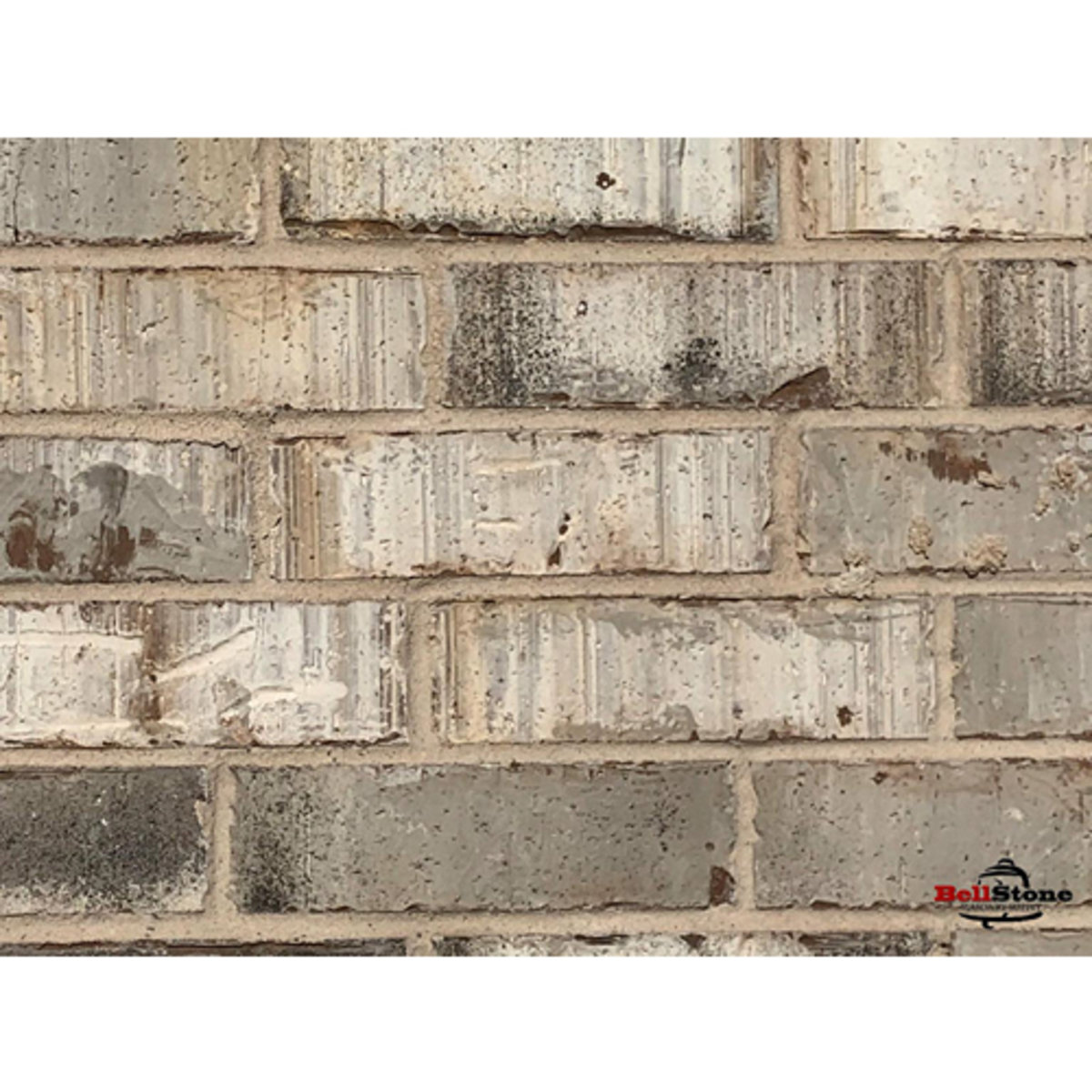 Binsa Brick English Dove King Size 9.6 in. x 2-5/8 in. | SiteOne