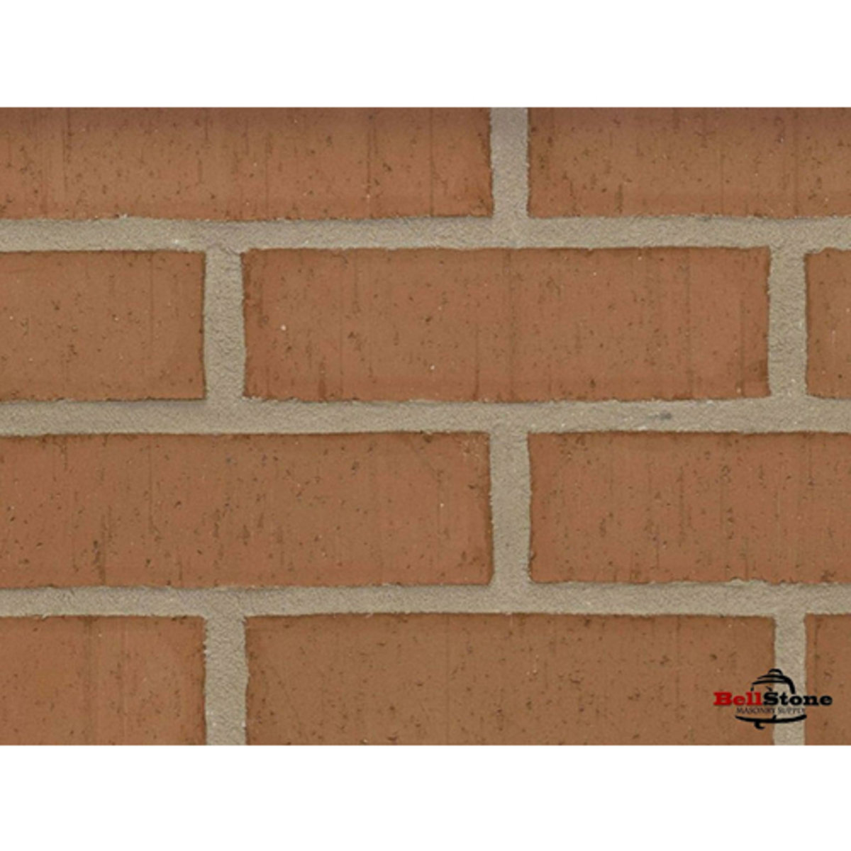 Binsa Brick Terracota Velour King Size 9.6 in. x 2-5/8 | SiteOne