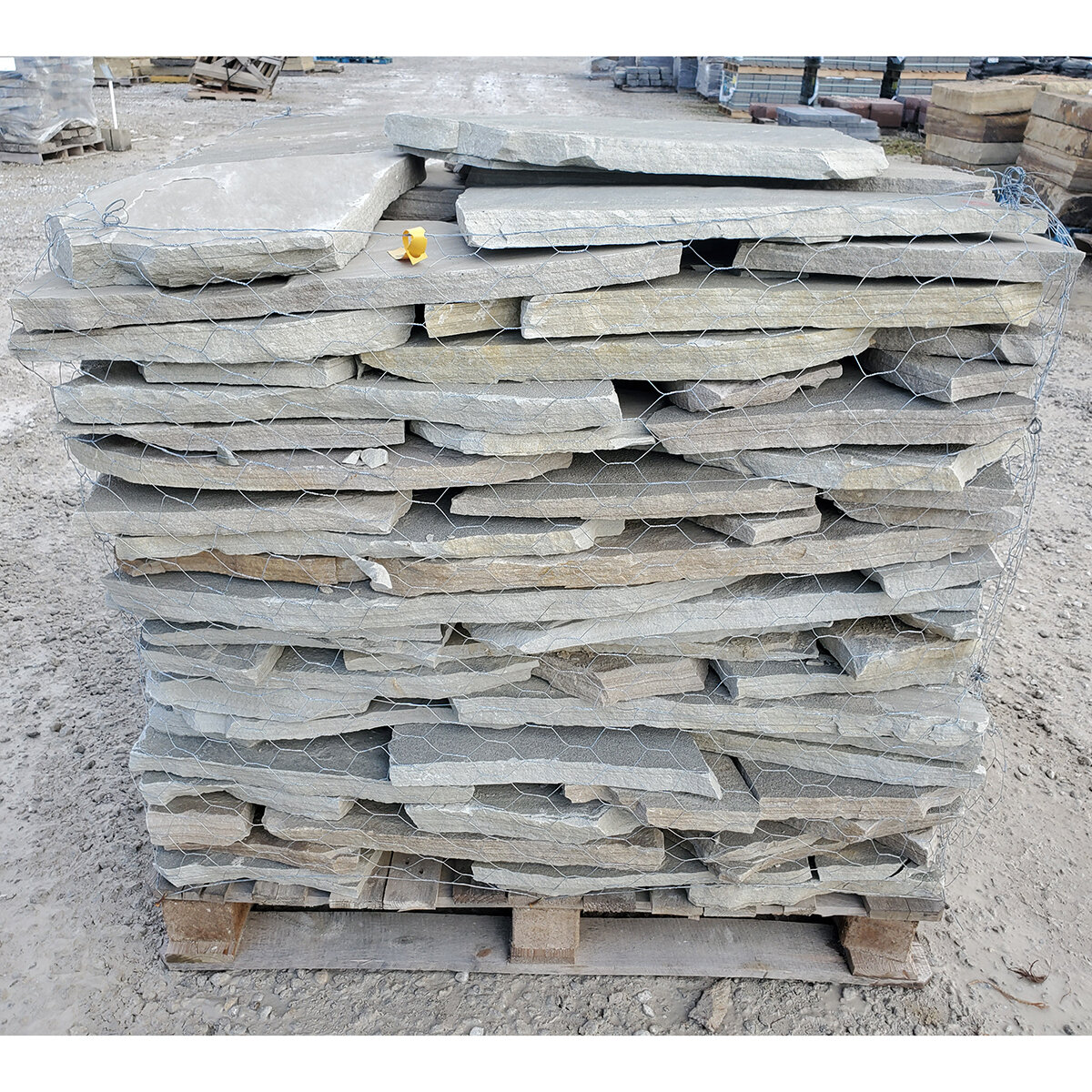 Flagstone Tennessee Blue/Gray Regular | SiteOne