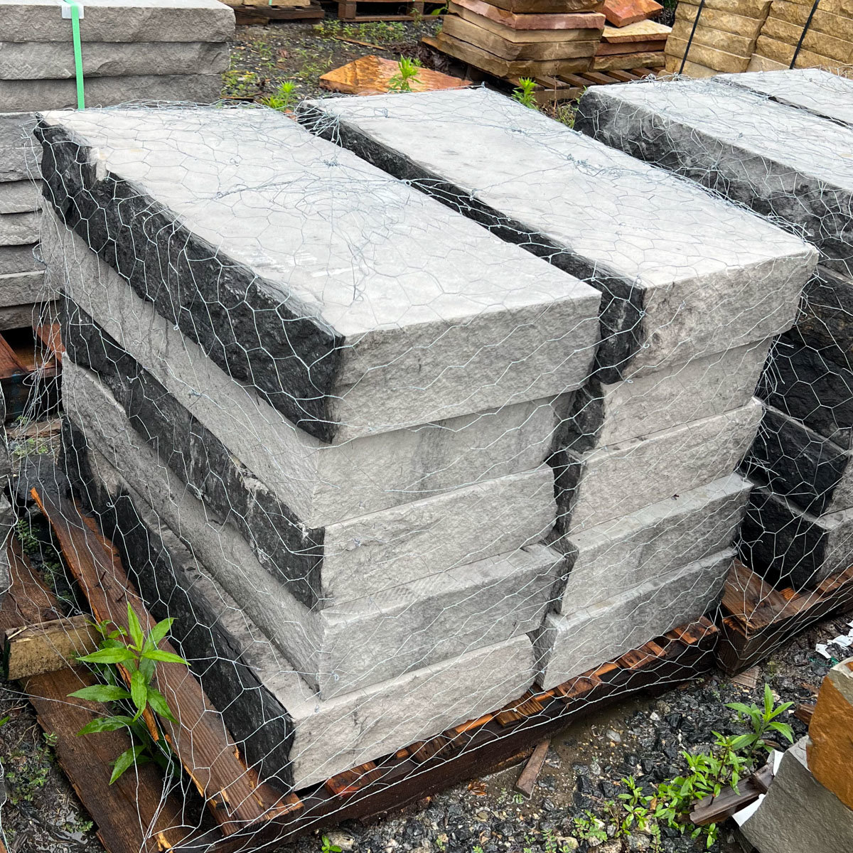 Step Lueders Limestone Charcoal 18 in. x 36 in. | SiteOne