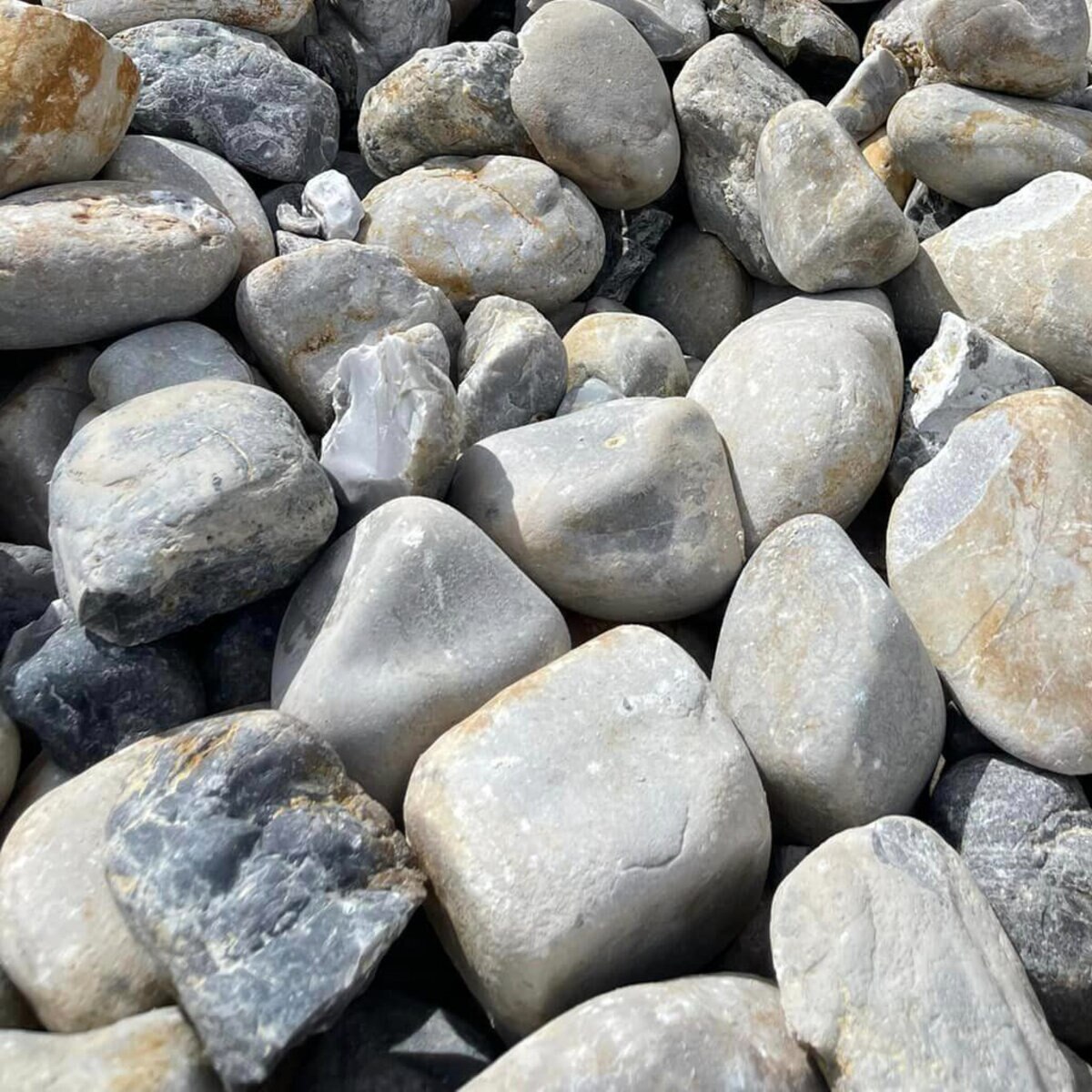 Bulk Alpine White Cobble Oversize | SiteOne