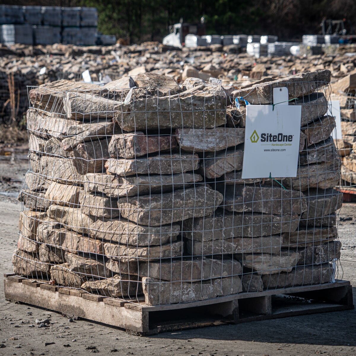 Tennessee Fieldstone Medium (Regular) Veneer | SiteOne