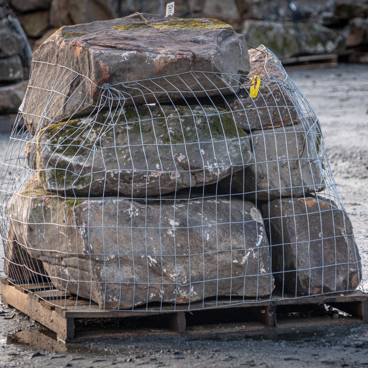 Tennessee Fieldstone Garden Boulder | SiteOne