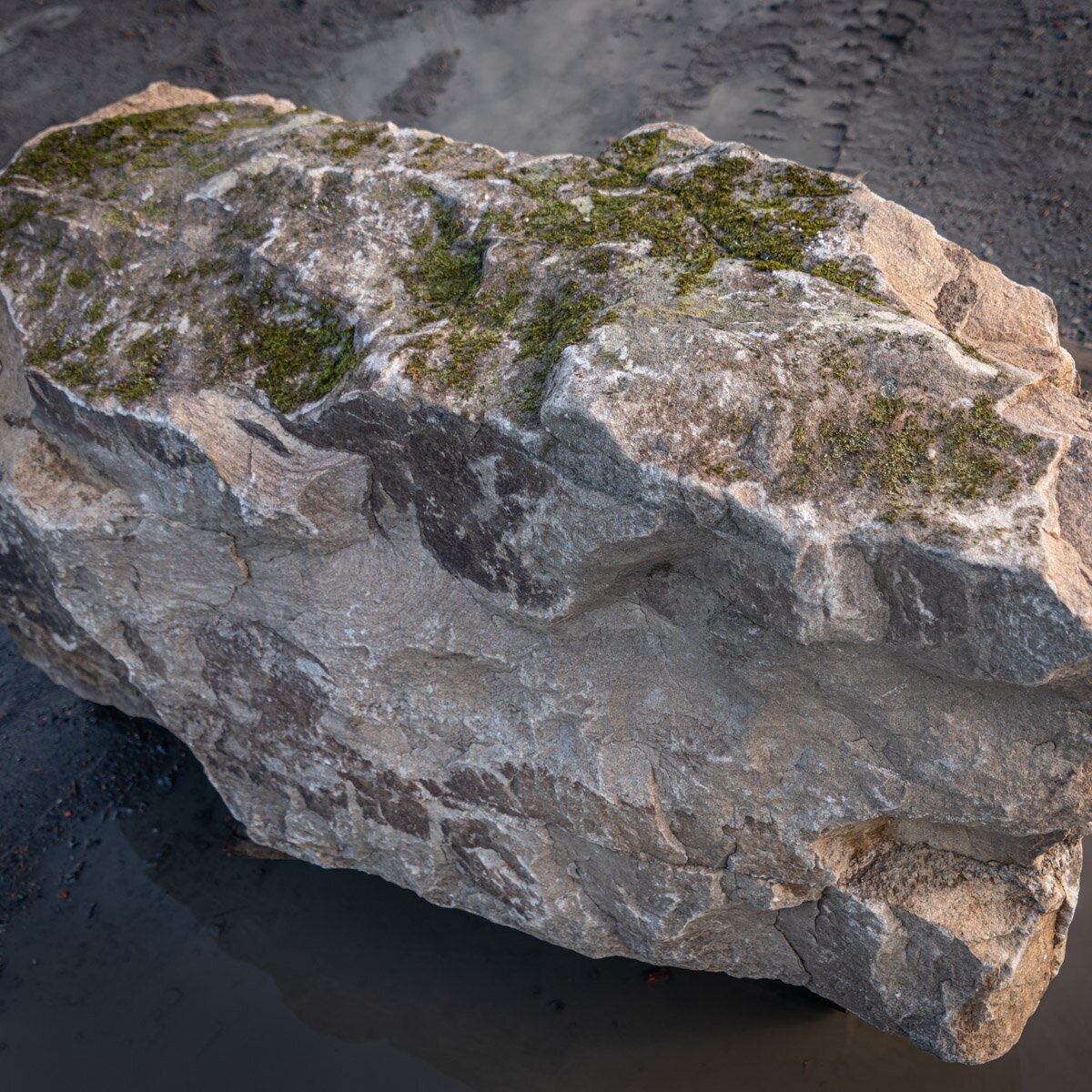 Tennessee Fieldstone Decorative Landscape Boulder | SiteOne