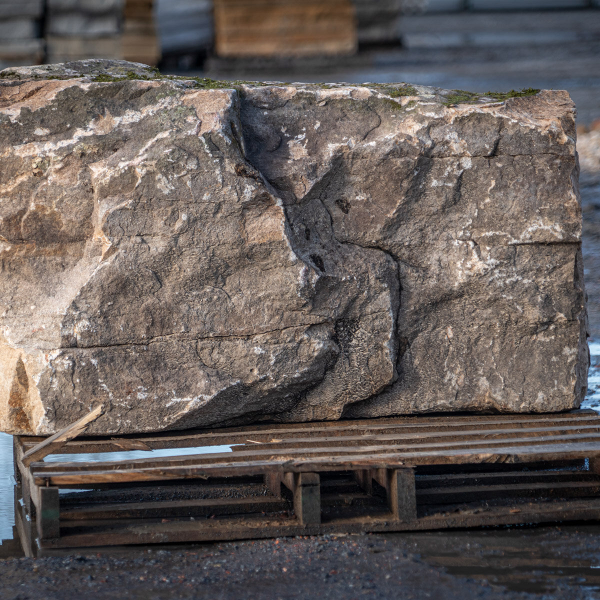 Tennessee Fieldstone Decorative Landscape Boulder | SiteOne