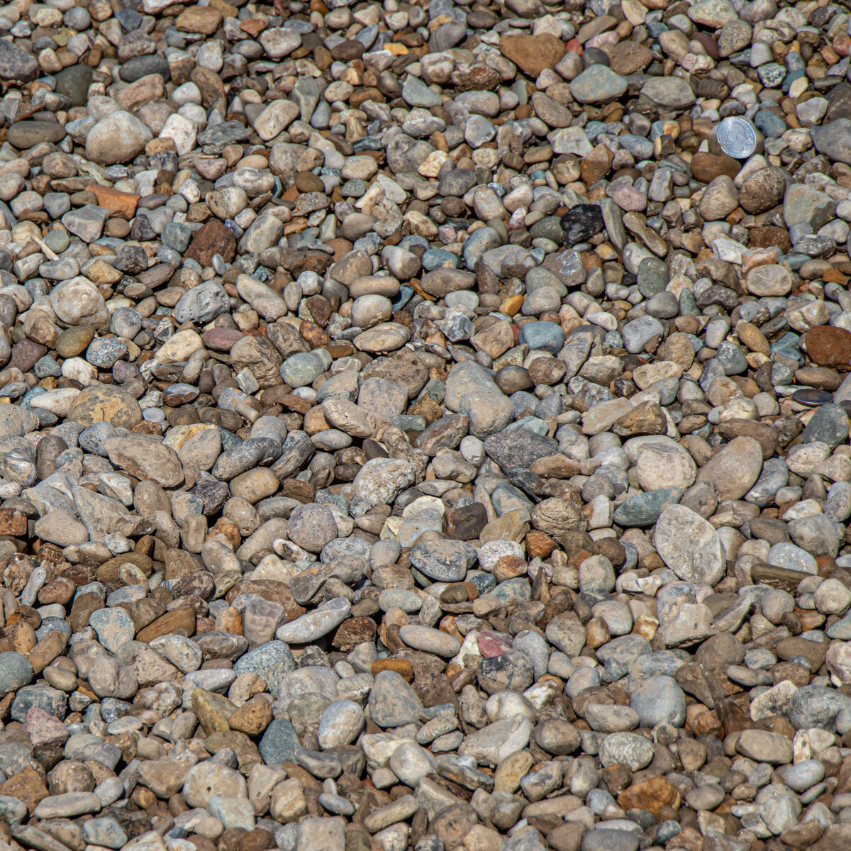 Bulk River Rock Indian Creek 1 - 2 in. | SiteOne