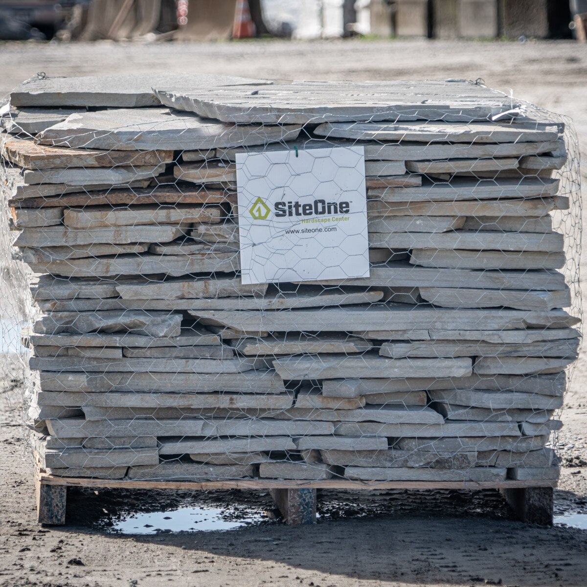 Flagstone Tennessee Blue/Gray Regular | SiteOne
