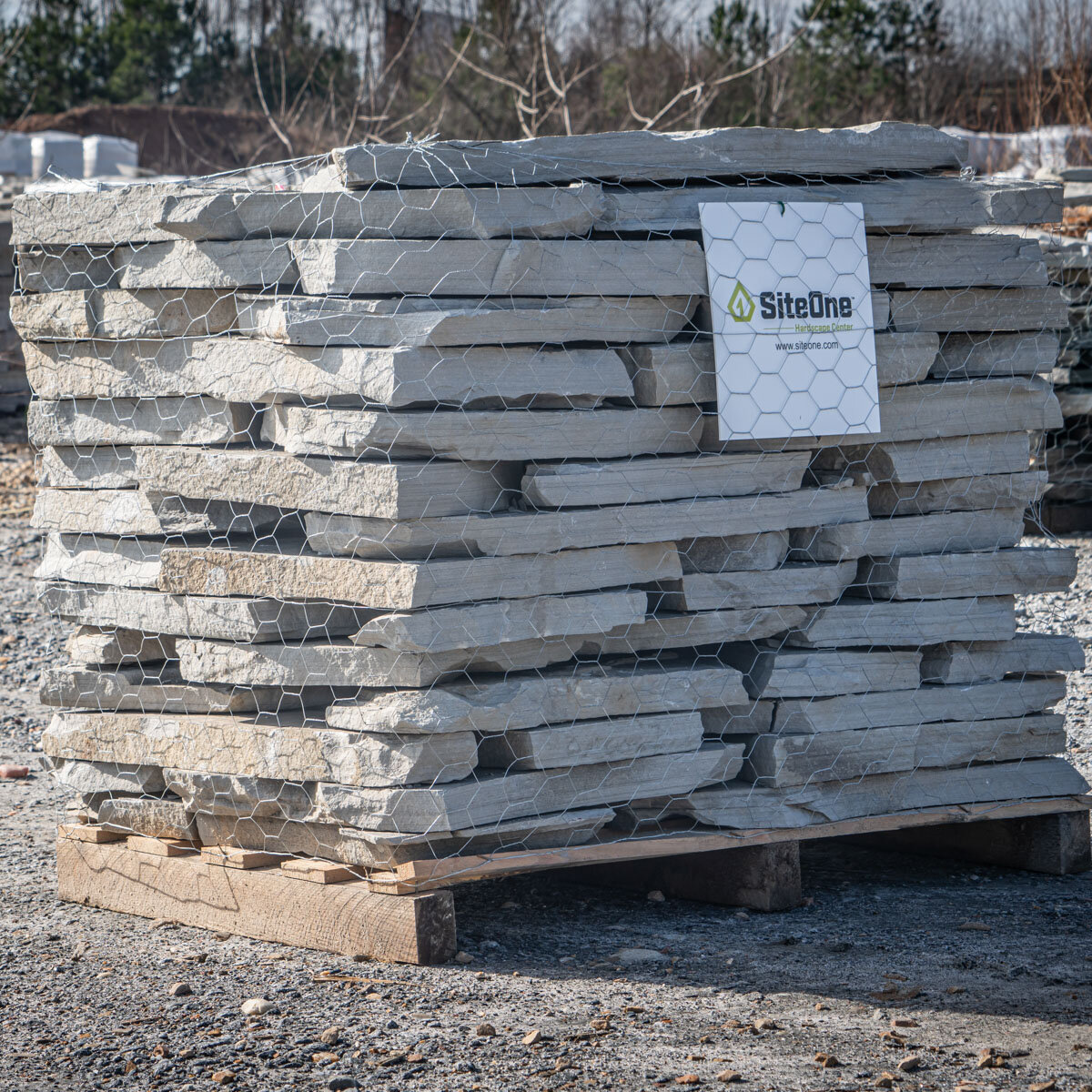 Flagstone Tennessee Blue/Gray Thick | SiteOne