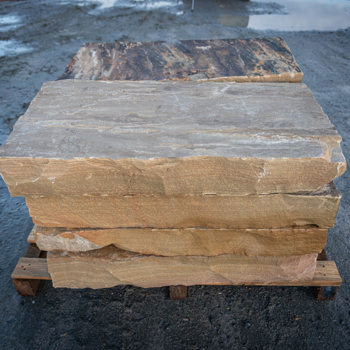 Step Tennessee Variegated Brown 18 in. x 36 in. | SiteOne