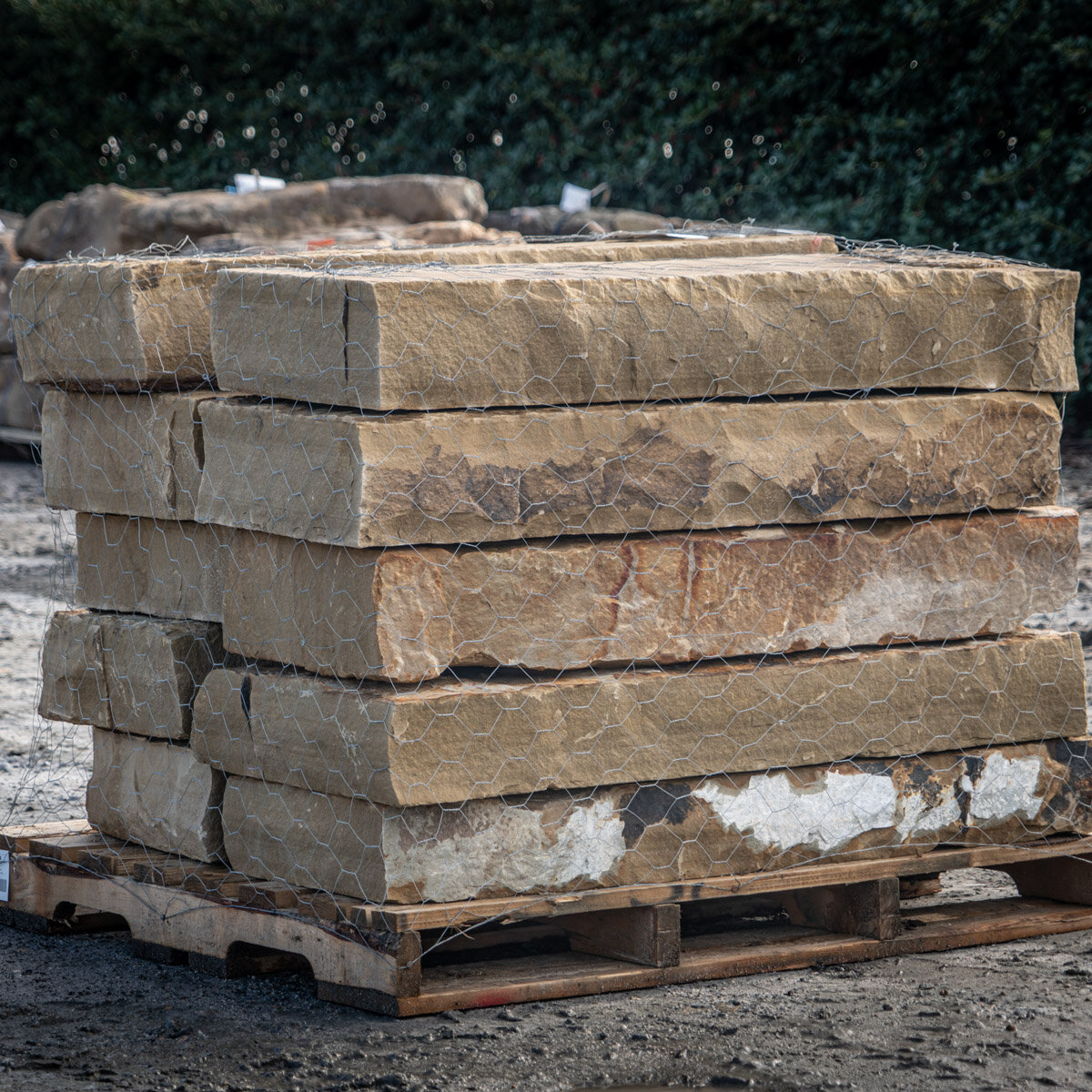 Step Oklahoma Brown 18 in. x 48 in. | SiteOne