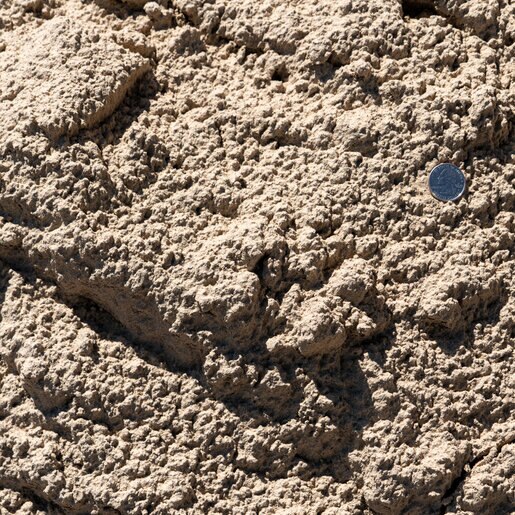 Bulk Bedding Sand | SiteOne