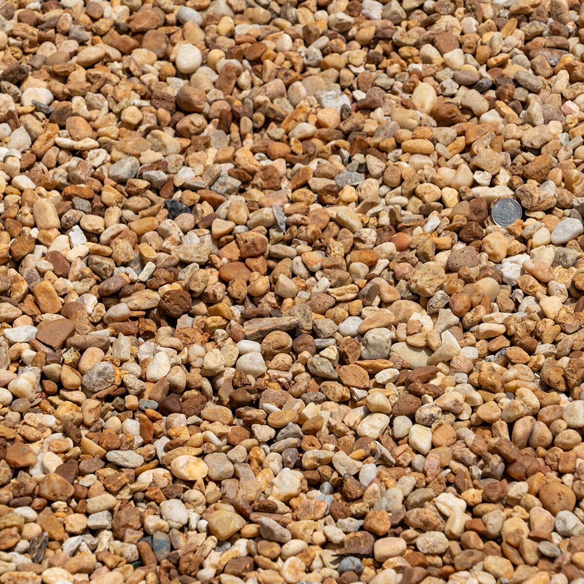 Bulk Alabama Brown #7 Deco 1/2 in. | SiteOne