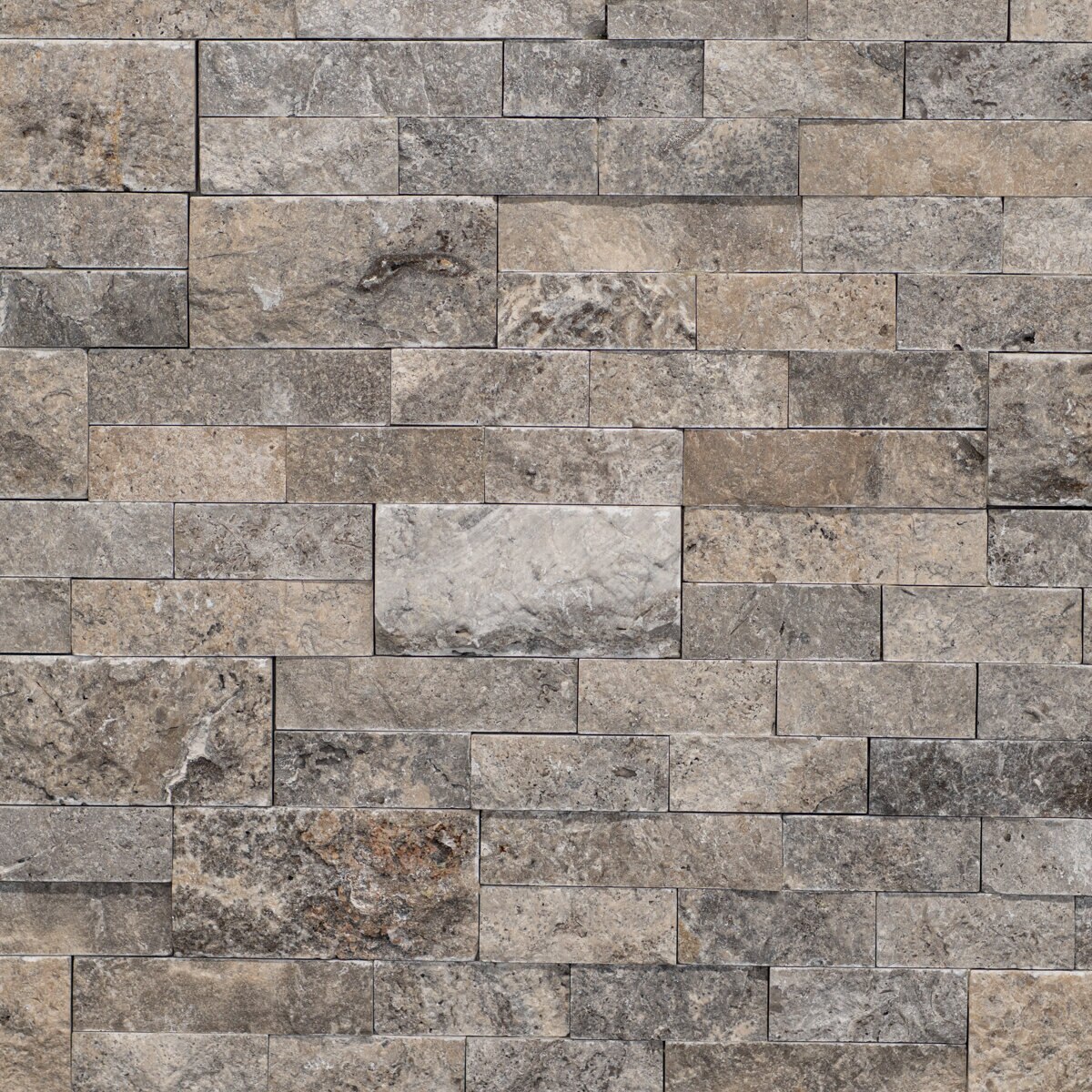 Ledger Panel Silver Travertine Flats 6 in. x 24 in. (6 | SiteOne