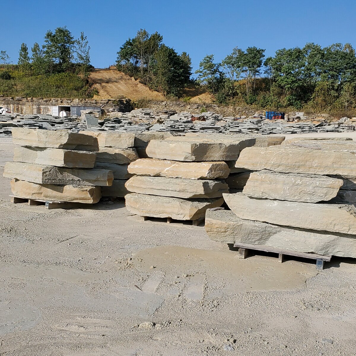 Slabs Canyon Gray Limestone 10 - 12 in. | SiteOne
