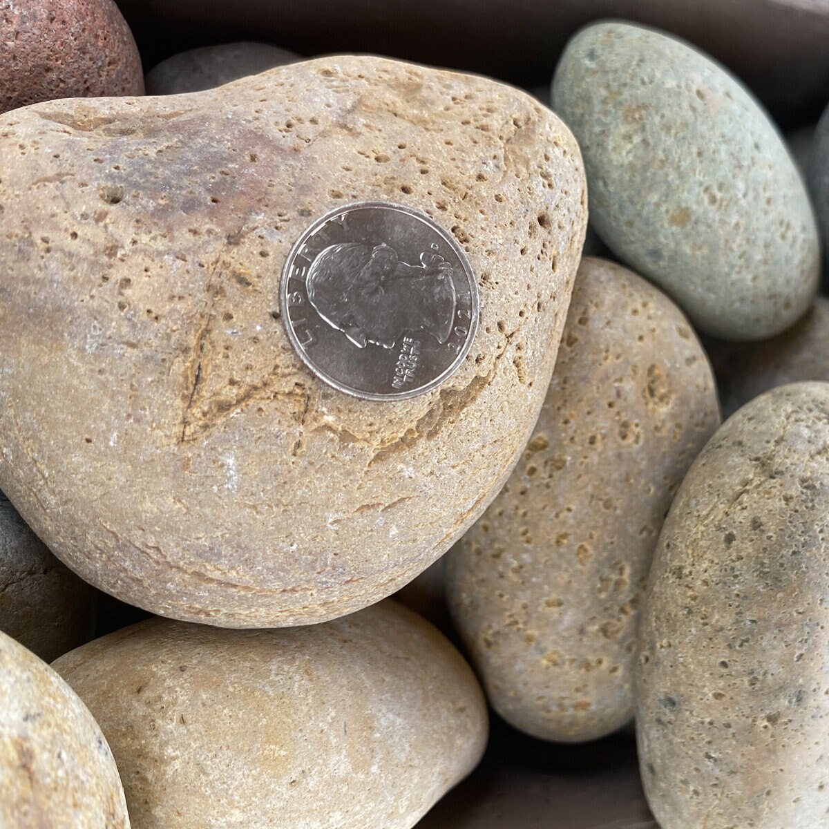 Bagged Mexican Beach Pebbles Buff 2 - 3 in. (75 lb. bag | SiteOne