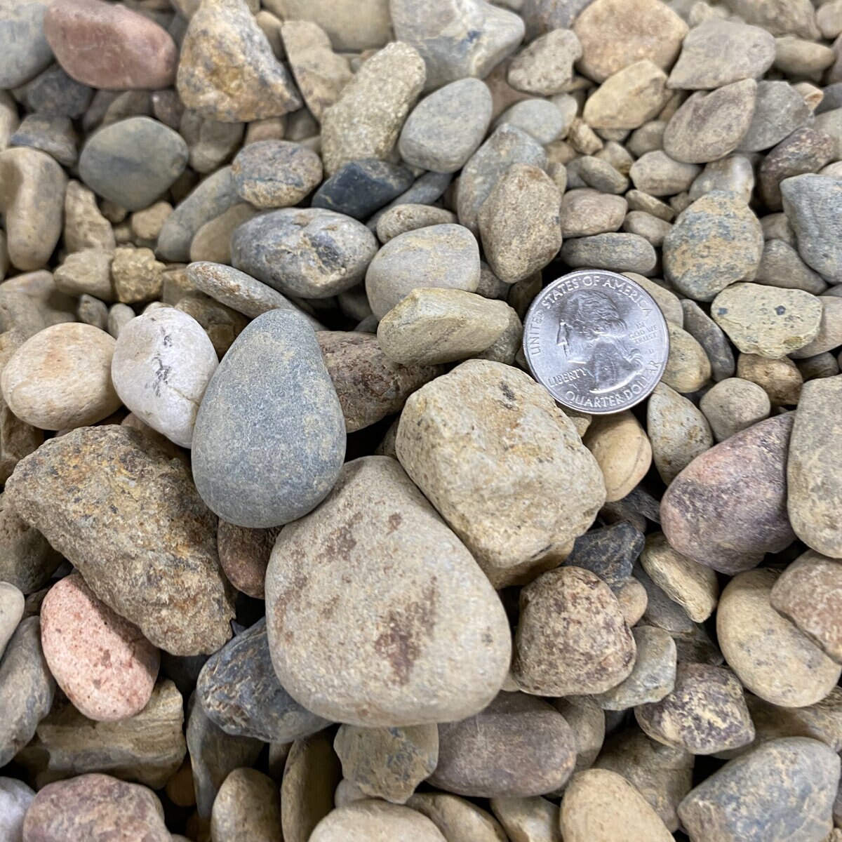 Bulk River Rock Lodi 3/4 in. | SiteOne