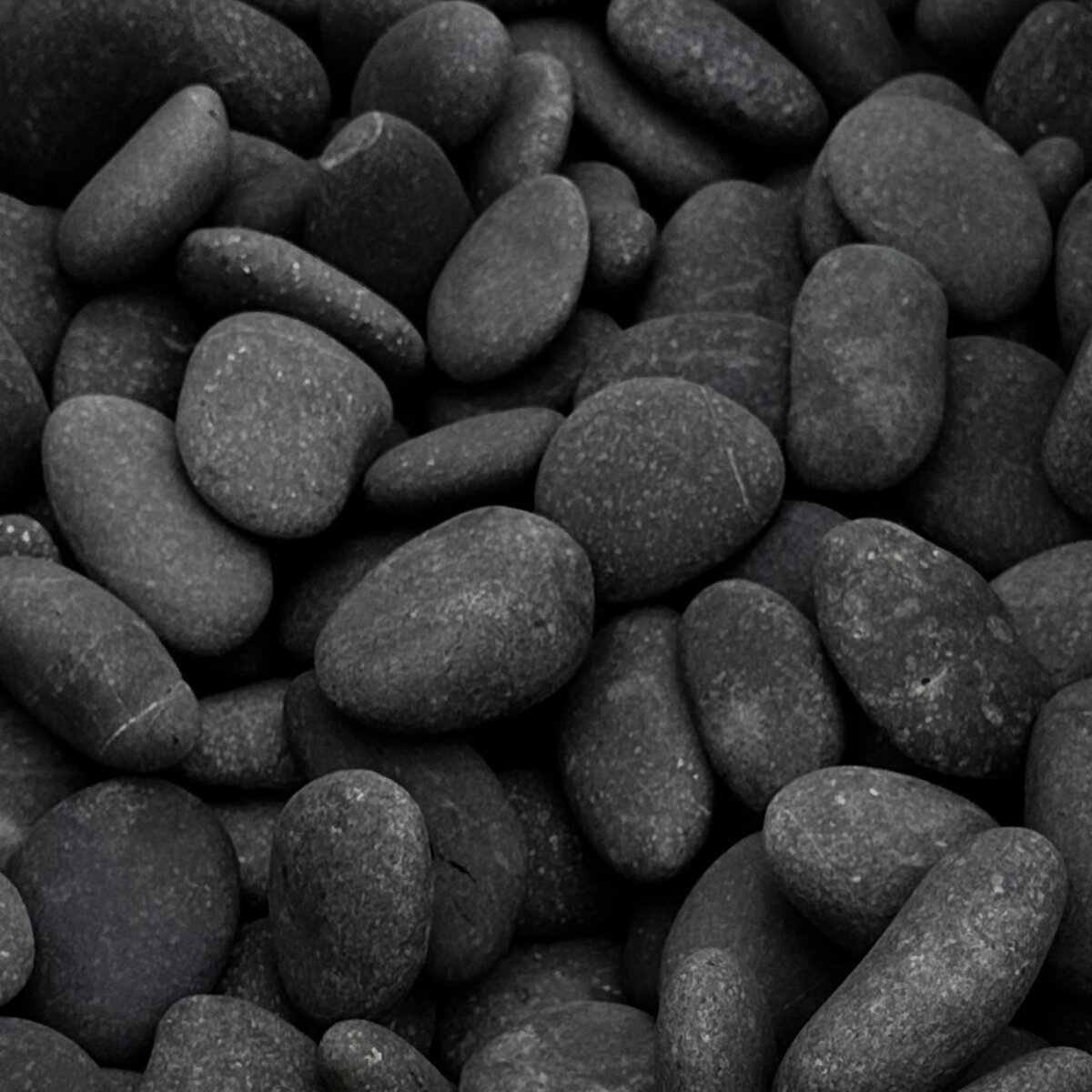 Palletized Mexican Beach Pebbles Black 2 - 3 in. | SiteOne