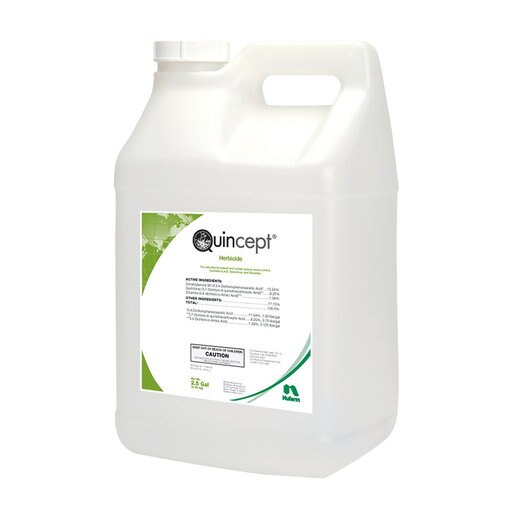 Quincept Selective Herbicide 2.5 gal. | SiteOne