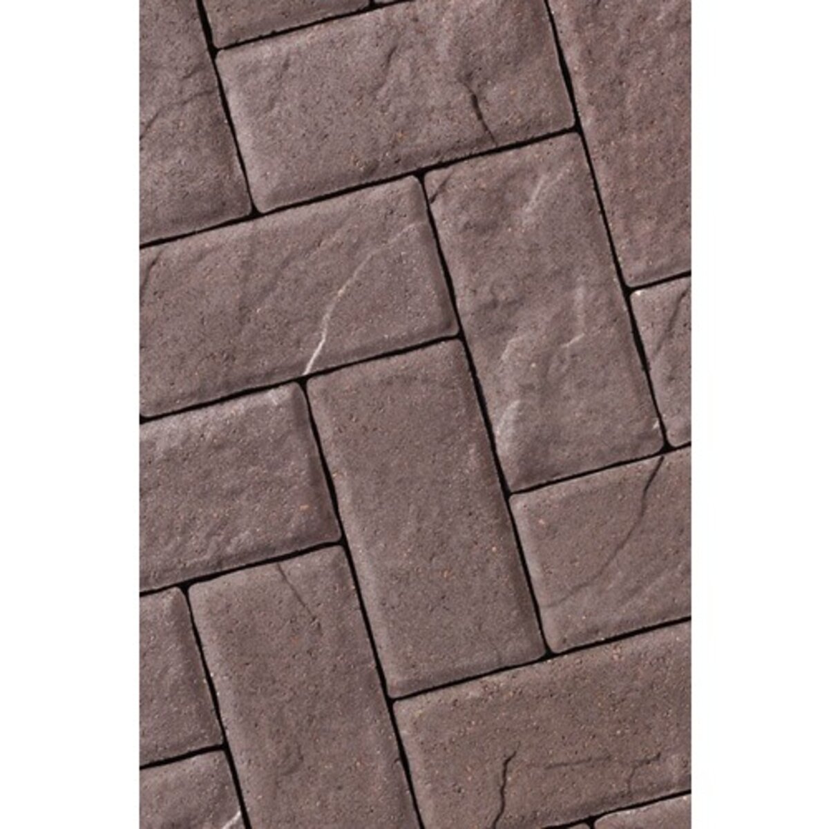 RCP Accent Paver Textured 6 in. x 12 in. Kolorlast Brow | SiteOne