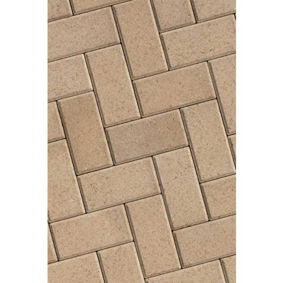 RCP Holland Paver 4 in. x 8 in. Buff FM 6 cm (98 sq. ft | SiteOne