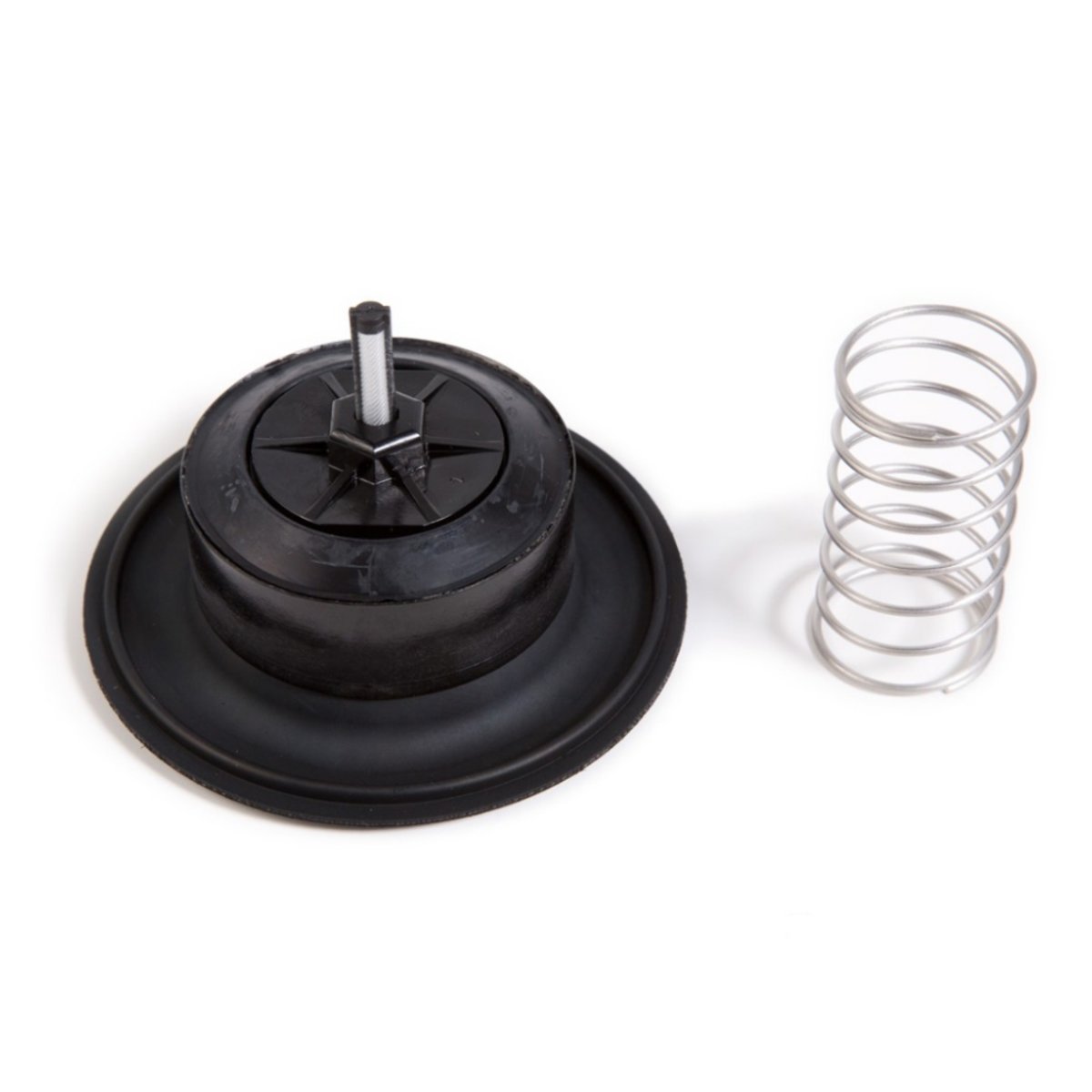 Rain Bird Diaphragm Assembly for 200PGA Valve 2 in. | SiteOne