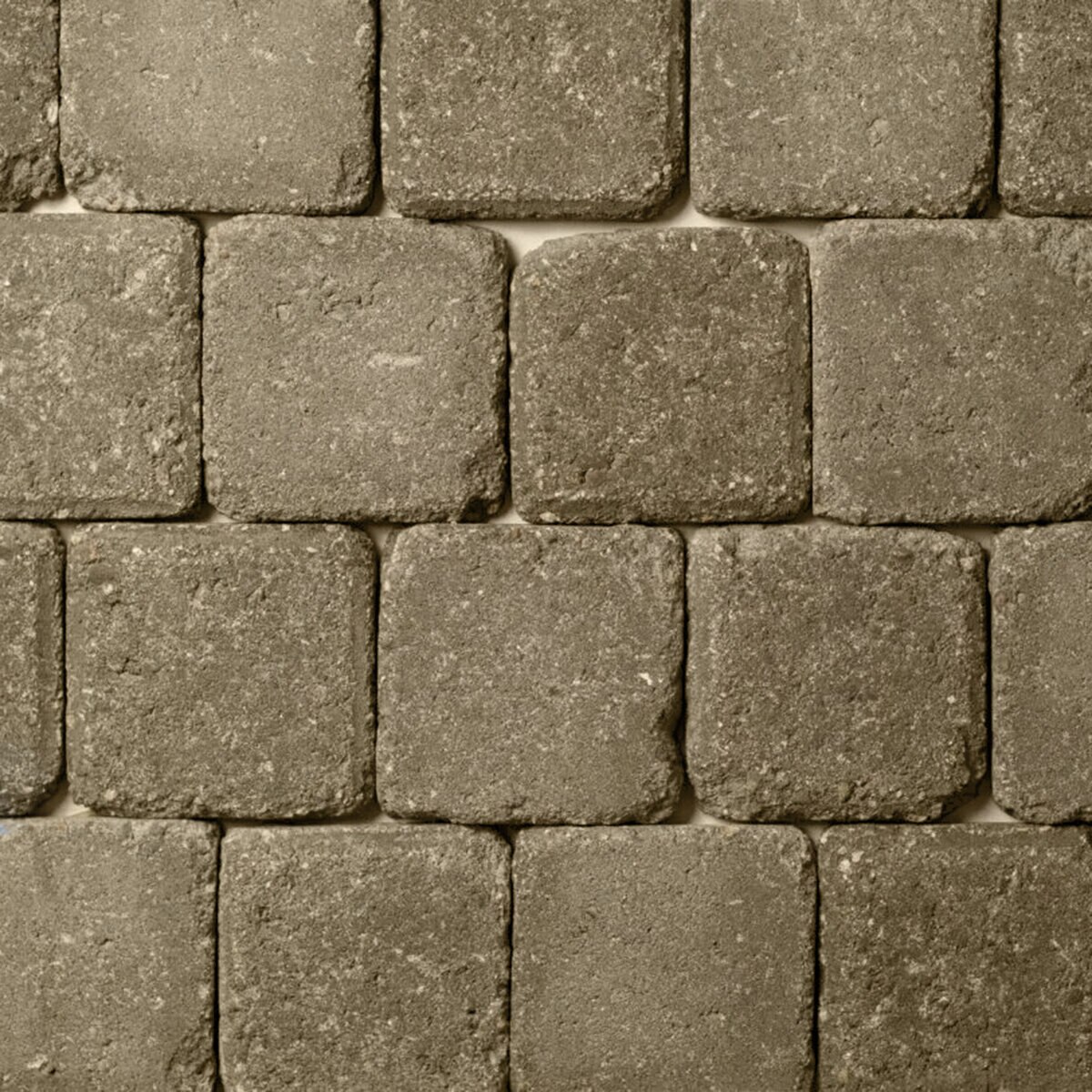 TNS Cobbles Paver Tumbled Desert Blend 4 in. x 4 in. (1 | SiteOne