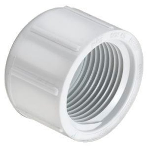 Sch 40 PVC Cap 1 in. FIPT | SiteOne