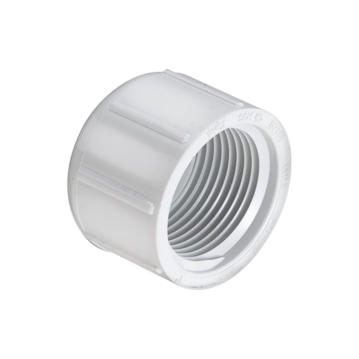 6 Cap Fipt PVC Fitting | SiteOne