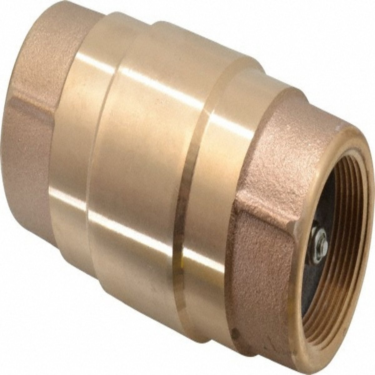 Strataflo Check Valve Brass 1-1/2 in. FIPT | SiteOne