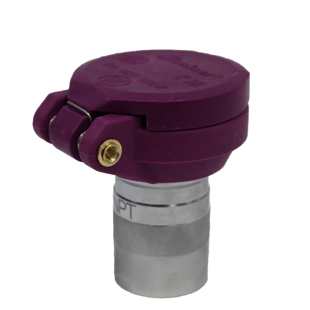 Quick Coupling Valve with Purple Locking Cover 1 FIP Bu | SiteOne