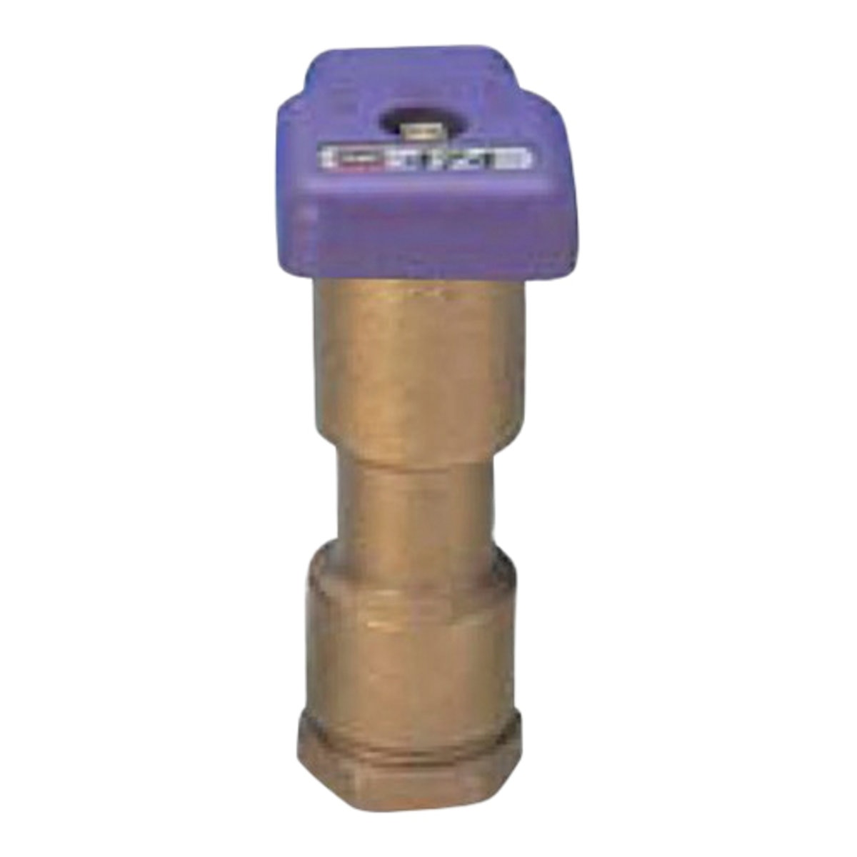 Toro Quick Coupling Valve 1 in. ACME Inlet 1 pc. Single | SiteOne