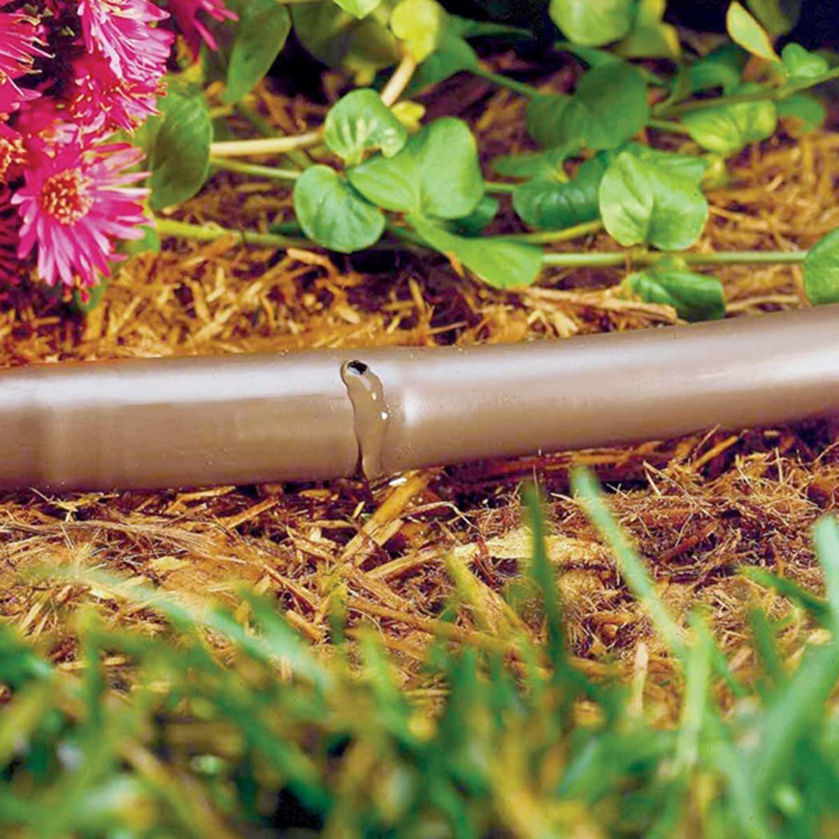 Toro Drip Tubing Brown 18 in. | SiteOne