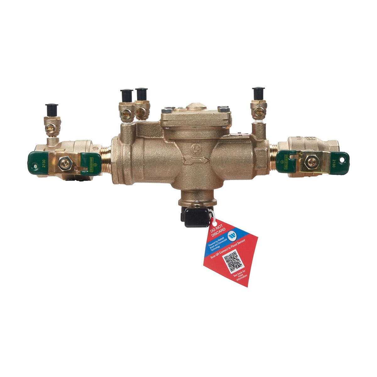 Watts RPZ Backflow LF009M2-QT-FS 1 in. | SiteOne