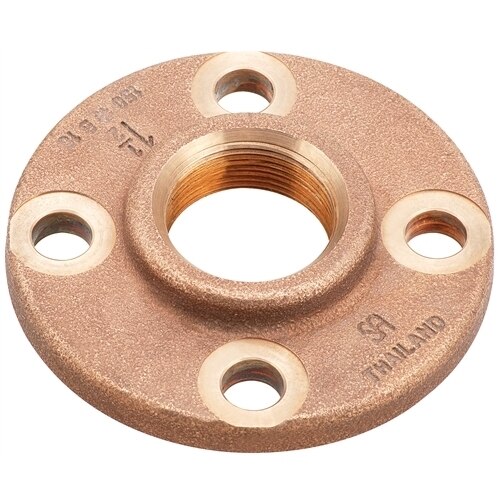 Brass Companion Flange 2 in. FIPT | SiteOne