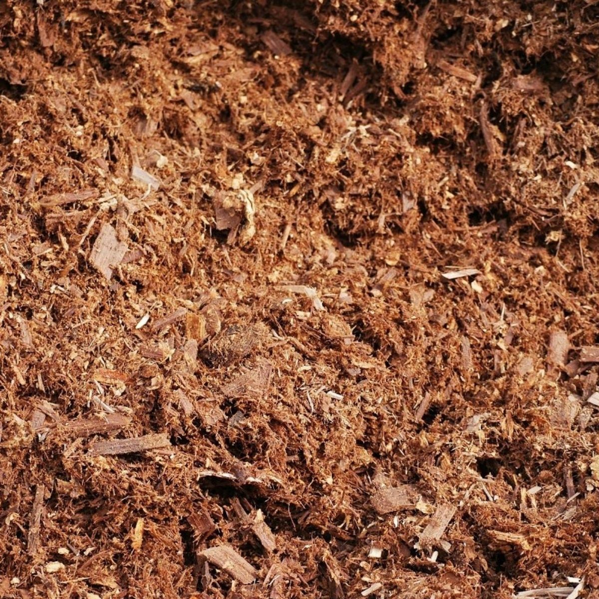 Melaleuca Mulch 2 cu. ft. Bag | SiteOne