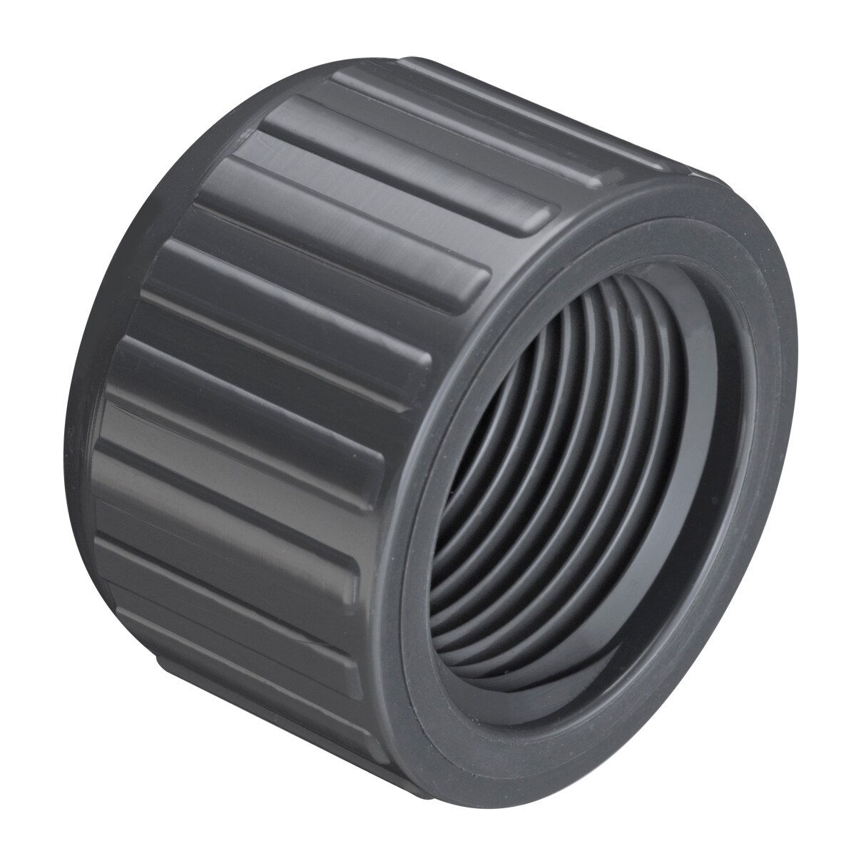 Sch 80 PVC Cap 2 in. FIPT | SiteOne