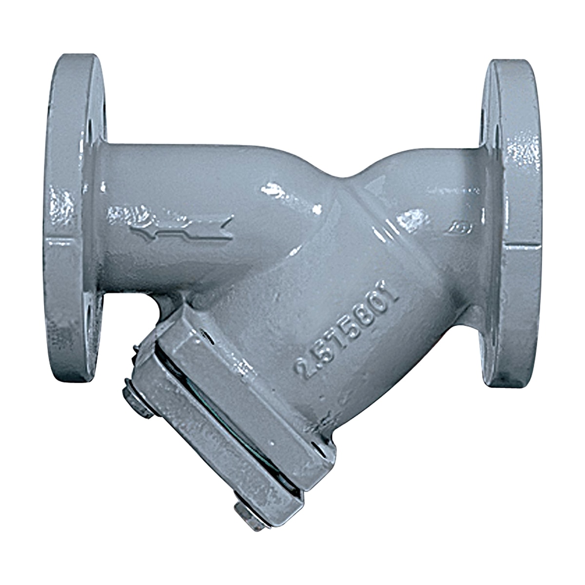Febco Wye Strainer Flange 3 in. | SiteOne