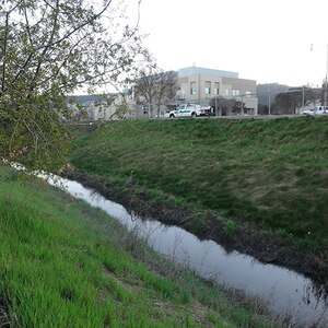 Cool Season Sod Supplies & Materials for Landscaping | SiteOne