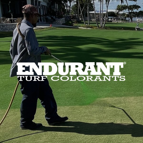 Early Order Programs