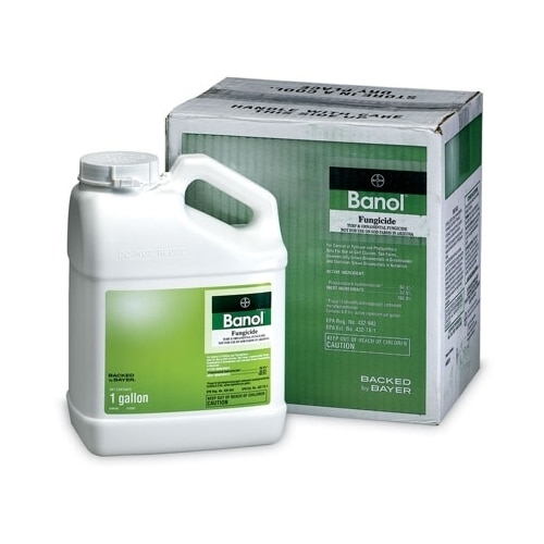 Banol Fungicide 1 gal. | SiteOne