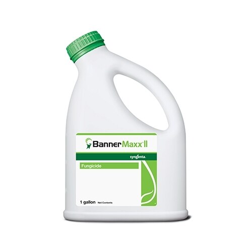 Banner MAXX II Fungicide 10 gal. (Agency) | SiteOne