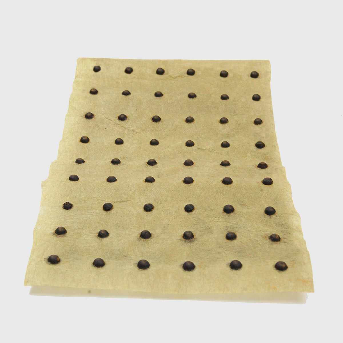 BioBarrier Root & Weed Control Barrier 12 in. x 21 ft. | SiteOne