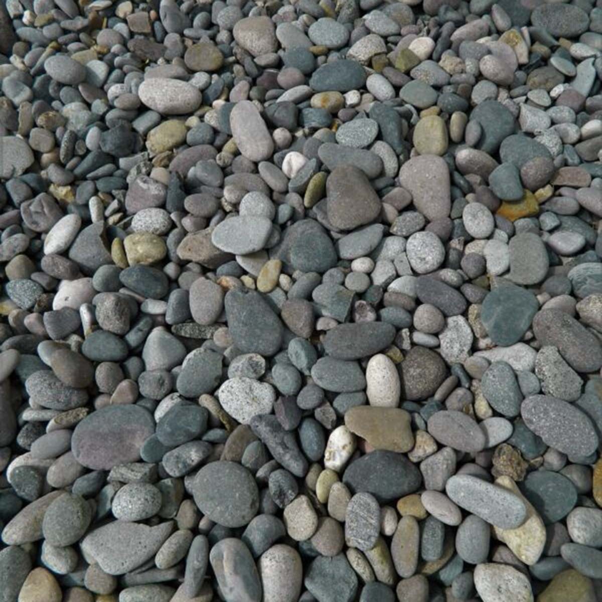 Palletized River Rock Mesa Gray Cobble 1 - 2 in. | SiteOne