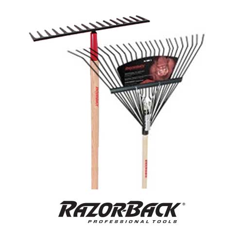 Save Strong Promotion