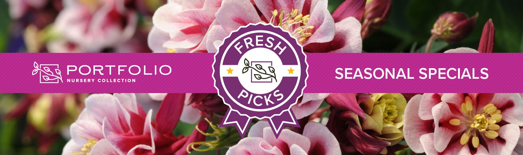 Portfolio Fresh Picks