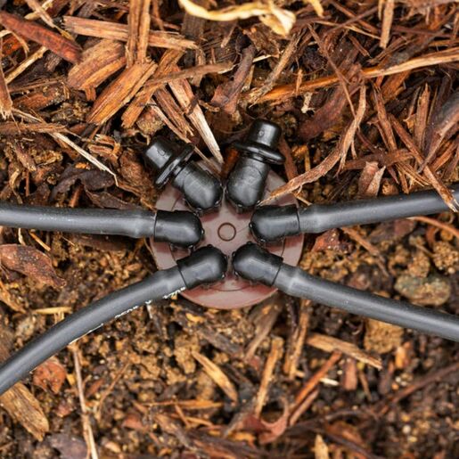 Multi-port Emitter - 1.0 gph | SiteOne