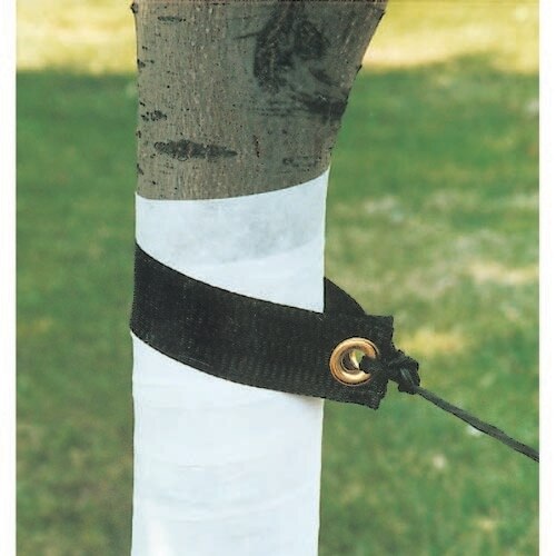Tree Strap Without Wire Attached Black 36 in. | SiteOne